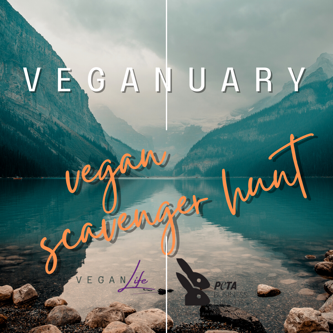 Join the Veganuary Scavenger Hunt! – The Vegan Life